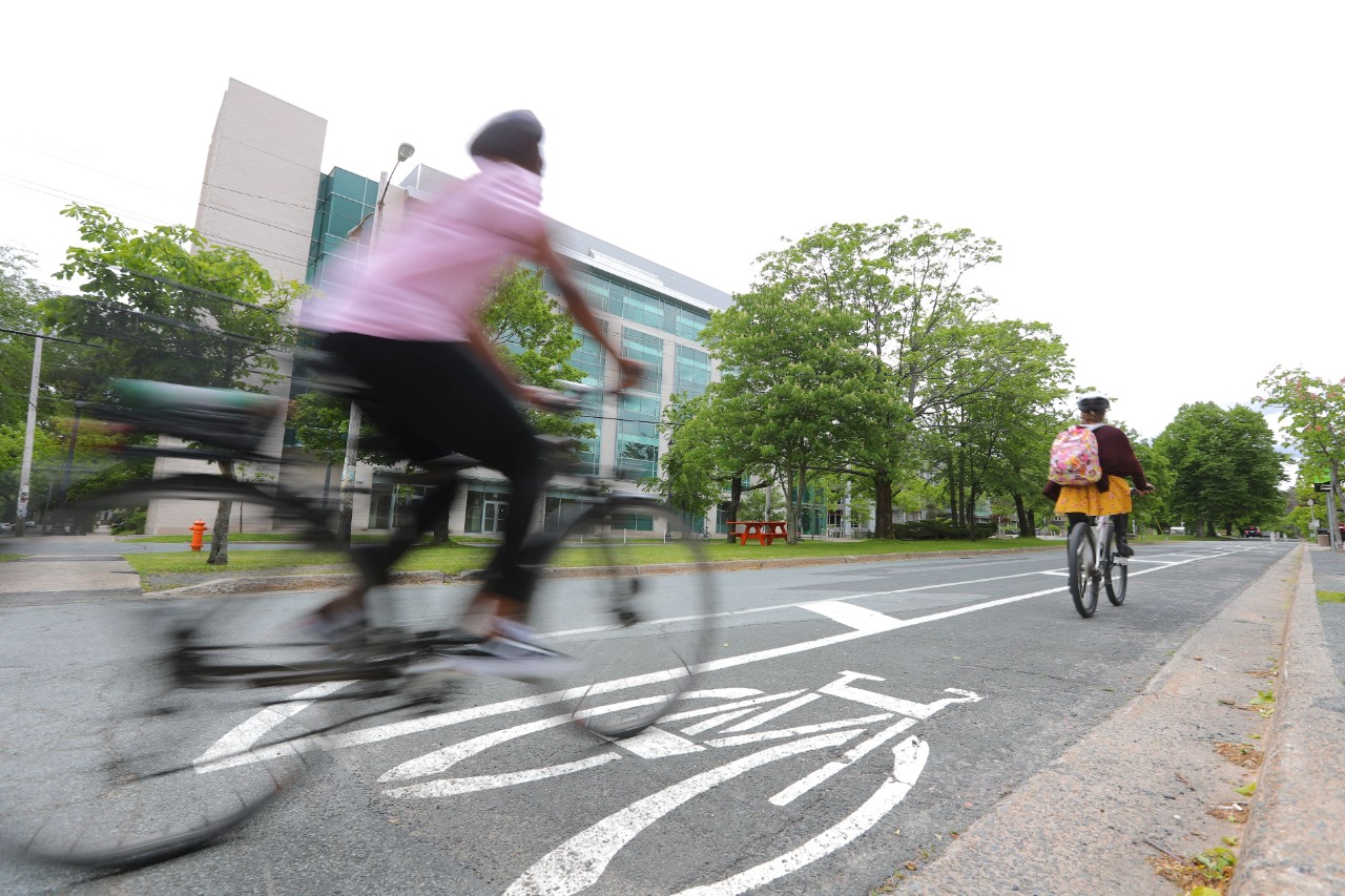 Active transport | Welcome to Dalhousie University