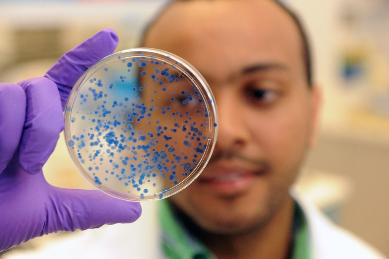 Innovative programs and research | Faculty of Graduate Studies ...