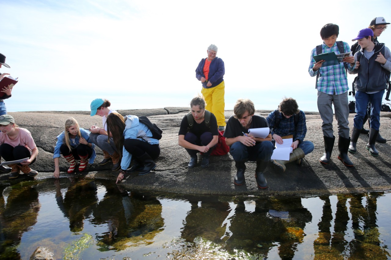 Undergraduate Students | Faculty of Science | Dalhousie University