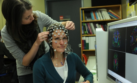 Neuroscience Degree Planner | Faculty of Science | Dalhousie University