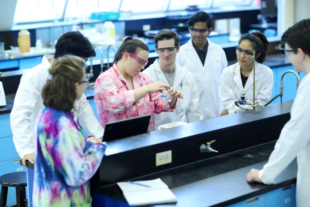 Undergraduate Studies | Faculty of Science | Dalhousie University