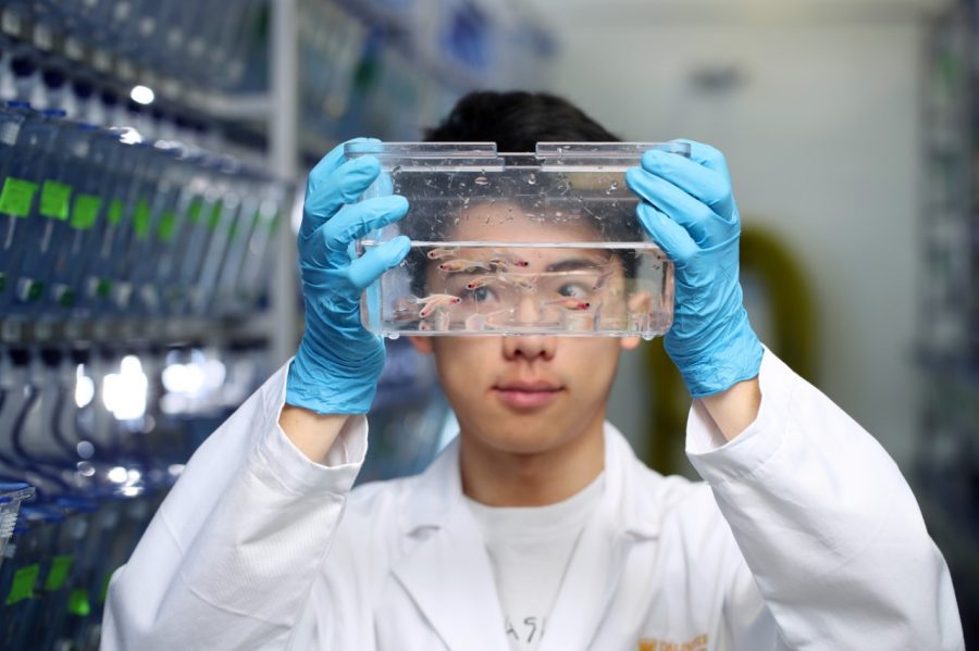 Get Help Finding a Program | Faculty of Science | Dalhousie University