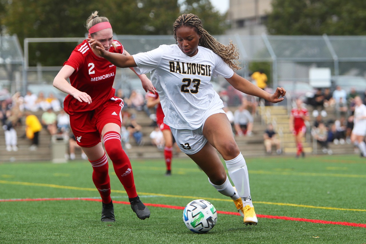 Info for Current Students | Welcome to Dalhousie University