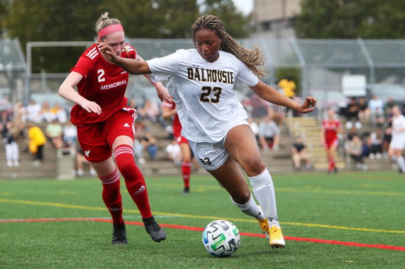 Info for Current Students | Welcome to Dalhousie University