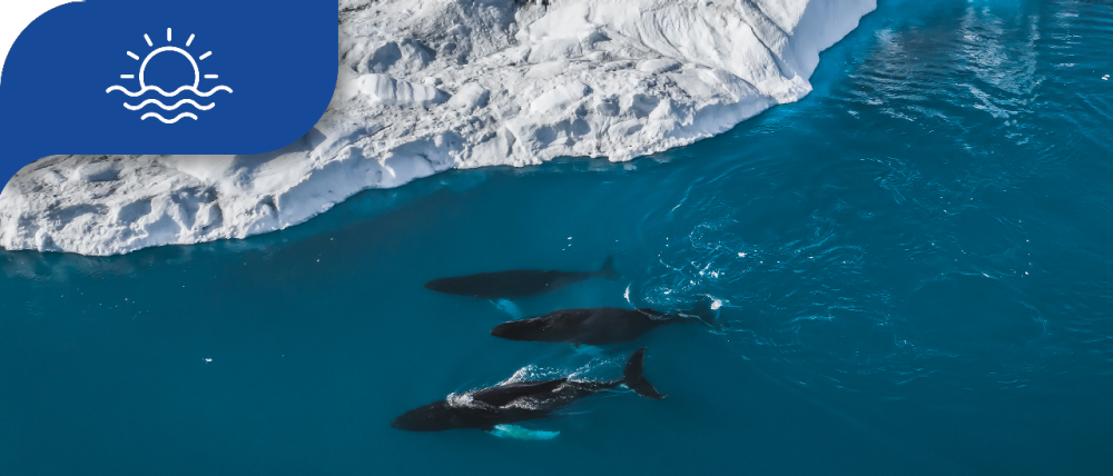 Sustainable ocean | Welcome to Dalhousie University