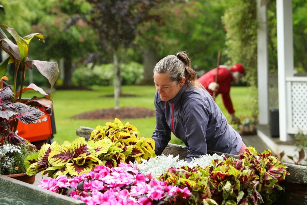 Master Gardener Training Program | Agriculture | Welcome to Dalhousie University